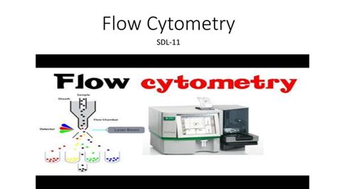 Flow Cytometry Principles And Applications Ppt