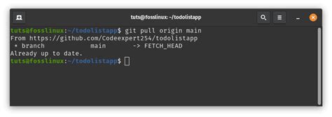 Collaborative Coding Using Git With Popos Foss Linux