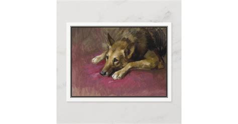 Patient German Shepherd By Marino Lenci Postcard Zazzle