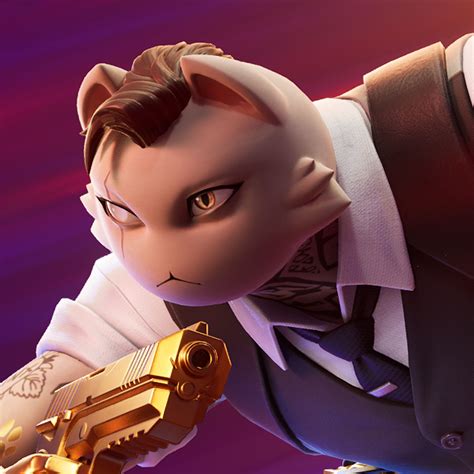 Meowdas Wallpapers Wallpaper Cave