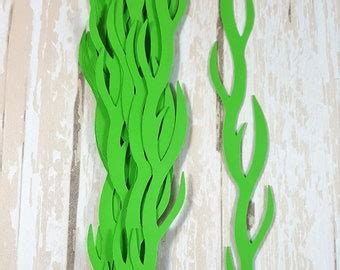 Seaweed Decoration Etsy