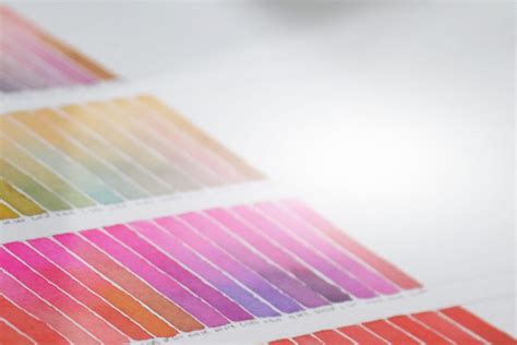 The Difference Between Transparent And Opaque Watercolors Watercolor Misfit