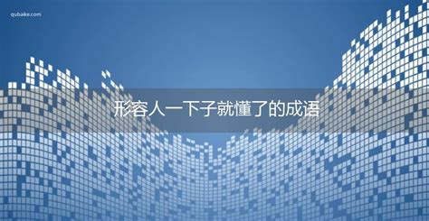 形容人一下子就懂了的成语 趣百科