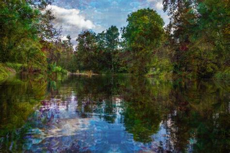 Is There Something In The Grass 2g Of Shrooms Rreplications