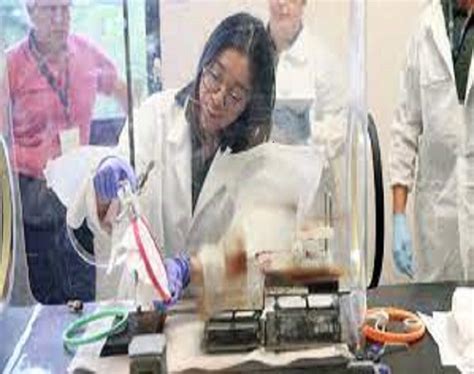 Crime Scene Investigation Lab Crime Scene Investigation Laboratory Crime Scene Forensic Lab