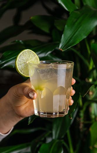 키르 로얄 칵테일과 칵테일 스틱에 사과 조각이 들어간 체리를 곁들인 칵테일 키르 로얄 과일에 대한 스톡 사진 및 기타 이미지 과일 노랑 레스토랑 Istock