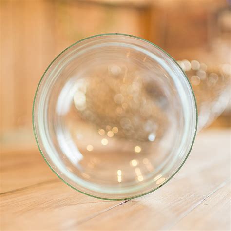 Small Antique Display Dome English Taxidermy Specimen Showcase London Fine Antiques