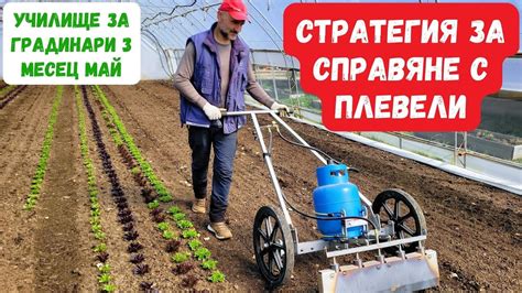 Стратегия за справяне с плевели Училище за градинари 3 Youtube