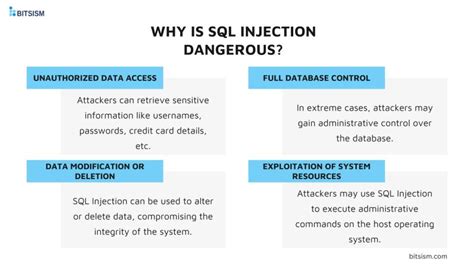 Sql Injection Protect Your Applications With Secure Coding Bitsism