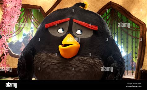 Angry Birds Aka The Angry Birds Movie Bomb Voice Danny Mcbride