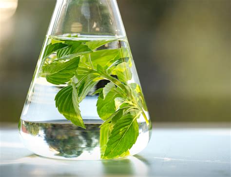 생분해성 플라스틱의 핵심 원료 3hp Lg화학이 세계 최초로 상용화에 도전합니다