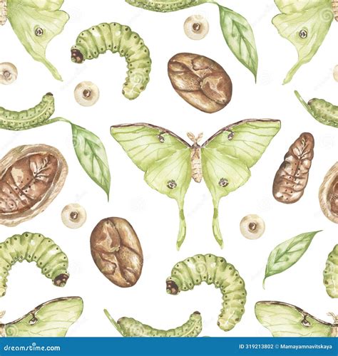 Watercolor Luna Moth Life Cycle Seamless Pattern Wild Life Repeat