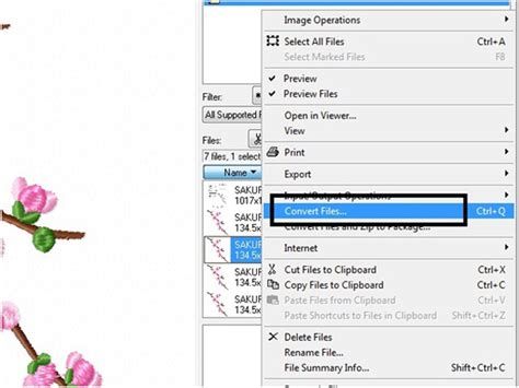 Convert Designs In Embird Program En Embgallery
