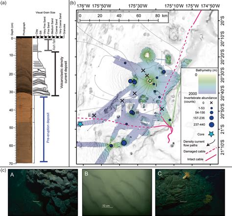 Relation Of Density Current Flow Paths To Impact On The Seafloor