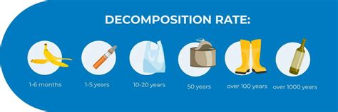 Garbage Decomposition Period Ecology Infographics 24538687 Vector Art