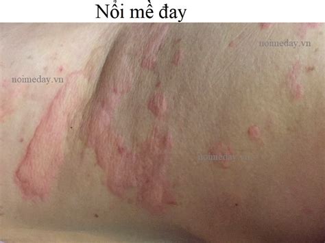 Th Vi N Nh H Nh Nh B Nh M Ay M N Ng A Nh N Di N V T M Hi U