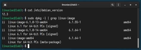 Hold Off Debian Upgrades Kernel 6 1 64 Ext4 Bug Alert