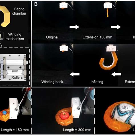 Powerful Soft Robotic Gripper With Variable Grasping Range A Download Scientific Diagram