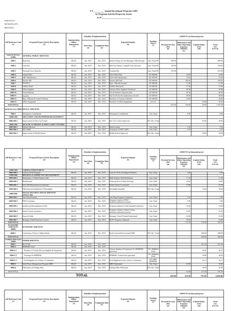 Sample Barangay Aip Pdf Welfare Disaster Risk Reduction
