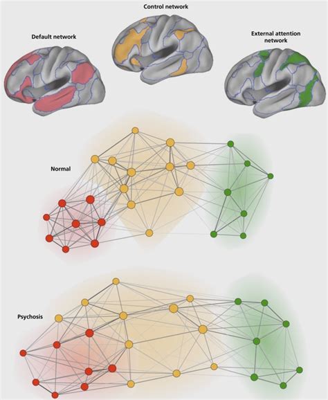 Neuro Science Sharetechnote