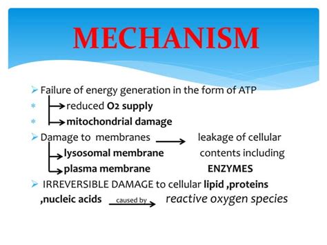 Necrosis And Types Pptx Blood Disorders Diseases And Conditions