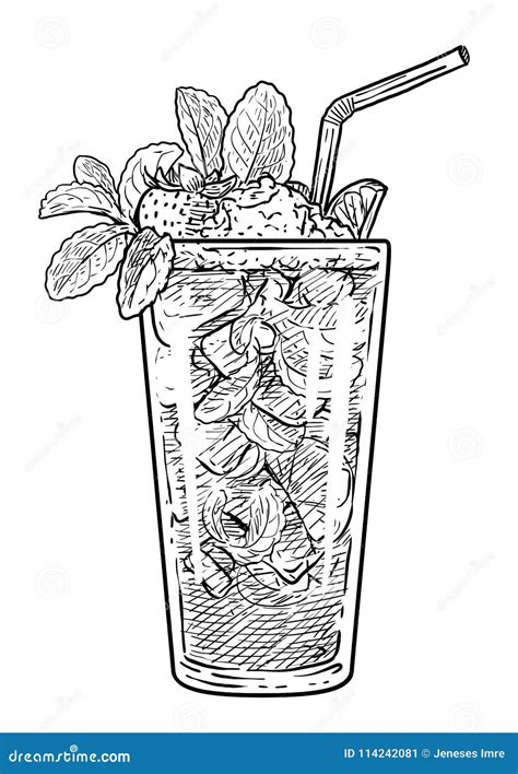 Cocktail Illustration Drawing Engraving Ink Line Art