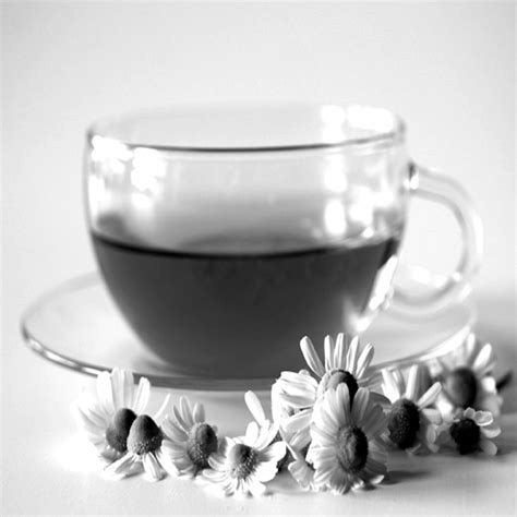 ყავა და ჩაი მკურნალი გე