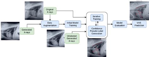 논문 리뷰 Confident Pseudo labeled Diffusion Augmentation for Canine Cardiomegaly Detection