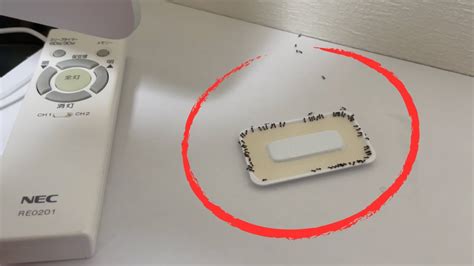 部屋を歩くアリを退治する！ Youtube