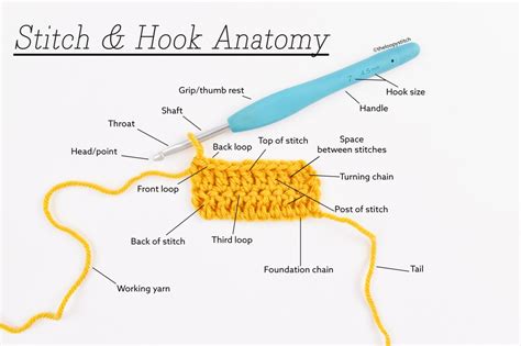 Crochet Anatomy The Loopy Stitch