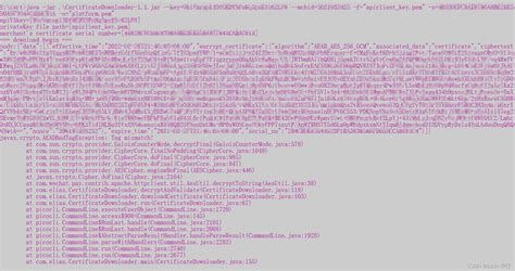 Javaxcryptoaeadbadtagexception Tag Mismatch 的解决办法javaxcrypto