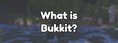 What Is Bukkit Minecraft Maddy Miller