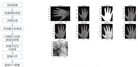 github tanzlyn roi for palm 手掌感兴趣区域（roi）提取