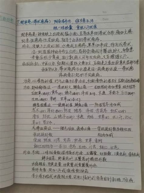 带状疱疹 蛇串疮 病因病机 治疗 哔哩哔哩