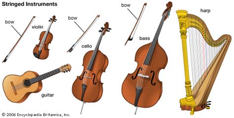 String Instrument Kunakorn61
