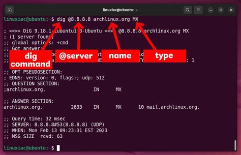 Dig Command The Most Common Use Cases In Examples
