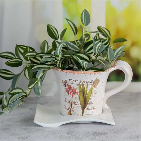 Саксия с чинийка Цвете S Ts Bg