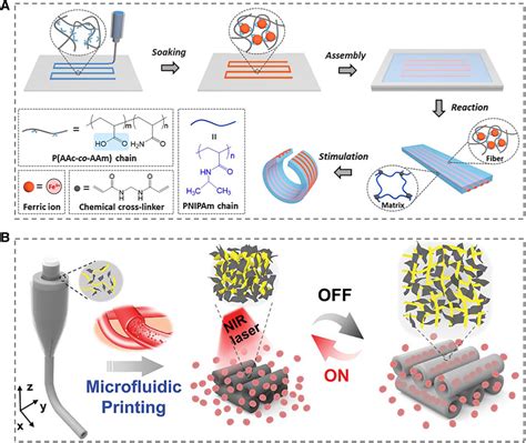 Examples Of 3d Printing For Fabricating Responsive Hydrogel Download Scientific Diagram