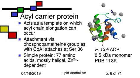 Andy Howard Biochemistry Lectures Spring April Ppt Download