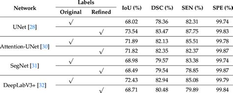 Comparison Of Lesion Segmentation Performance Using Original Labels And