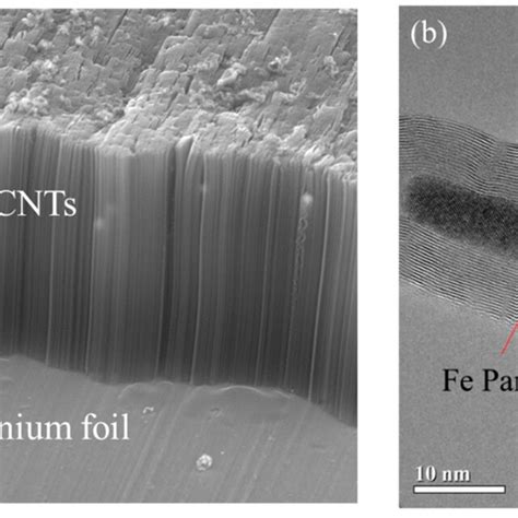 A Scanning Electron Microscopy Sem Image Of The Aluminumvacnts Download Scientific Diagram