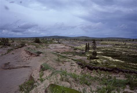 Alagnak River Alaska Org