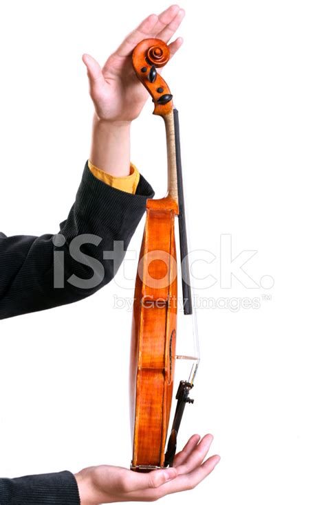 손에 바이올린 스톡 사진 Freeimages