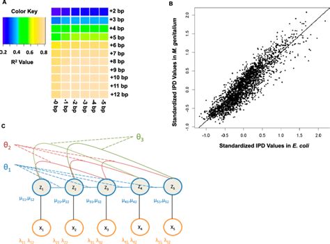 dna polymerase kinetics in smrt sequencing is a function of the local download scientific