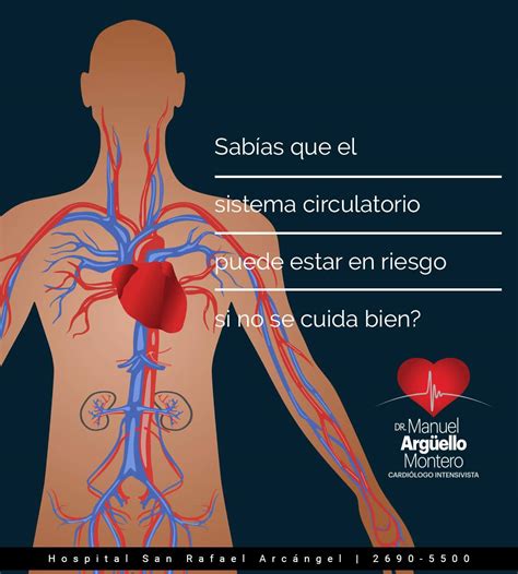 Aparato Circulatorio Para Ni