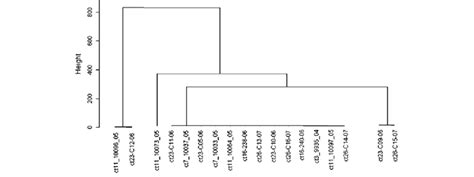 Cluster Dendrogram From The Significant Correlation Coefficient