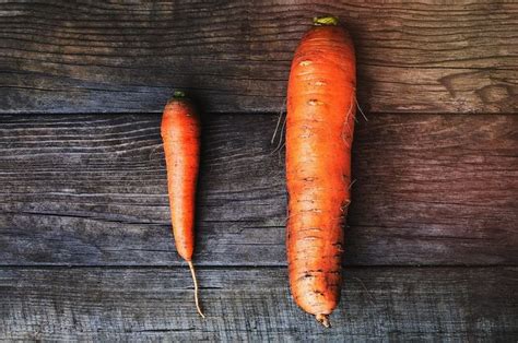 Mungil Tapi Bikin Perempuan Merem Melek Ini Posisi Bercinta Yang Cocok
