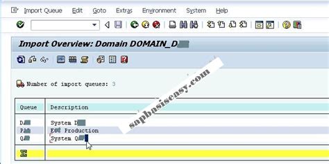 How To Do Sap Client Import Sap Basis Easy