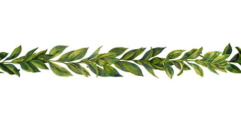 손으로 그린 수채화 물감 테두리에는 봄과 여름 파티 결혼식 생일 인사말 카드 메뉴 배너 테두리를 위한 잎이 있습니다 0명에 대한