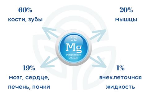 Магний хелат НСП